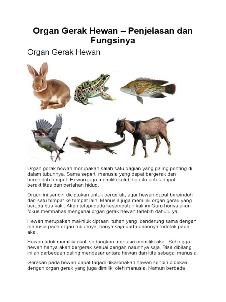 Rangkuman Tema 1 Organ Gerak Hewan | PDF