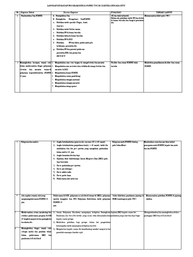 Laporan Kegiatan Program Kerja Ponek) | PDF