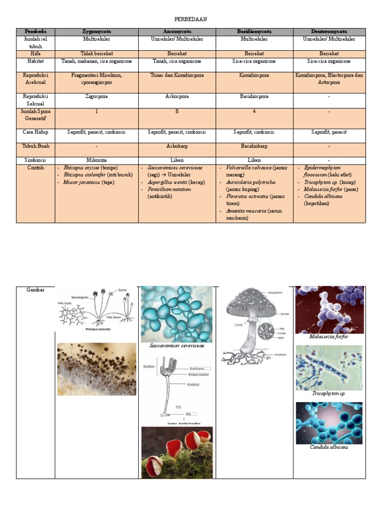 Jamur | PDF | Griya & Taman | Kesehatan Holistik