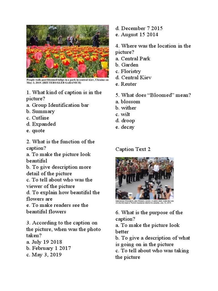 Daily Test Caption | PDF