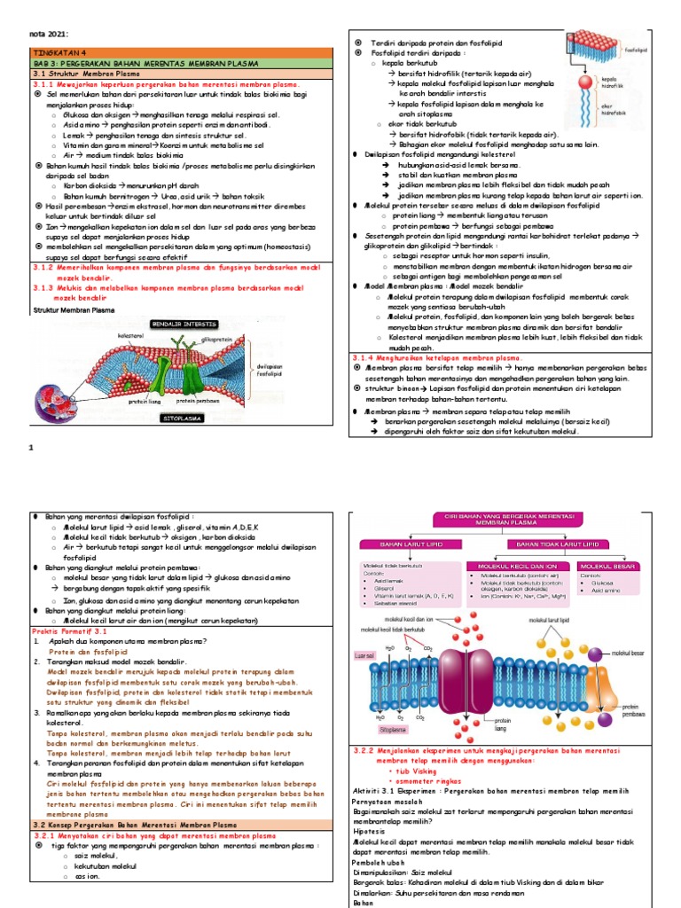 SEMAK NOTA Cepat2021 Biologi Bab 3 Lengkap Tingkatan 4 | PDF
