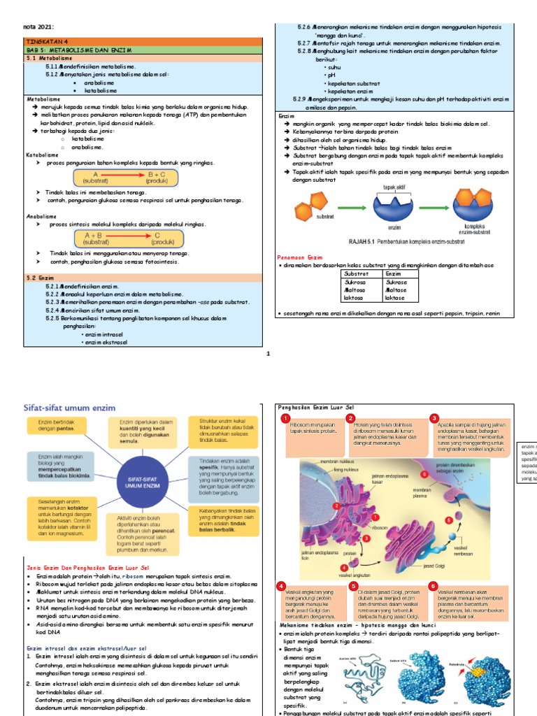SEMAK NOTA Cepat2021 Biologi Bab 5 Lengkap Tingkatan 4 | PDF