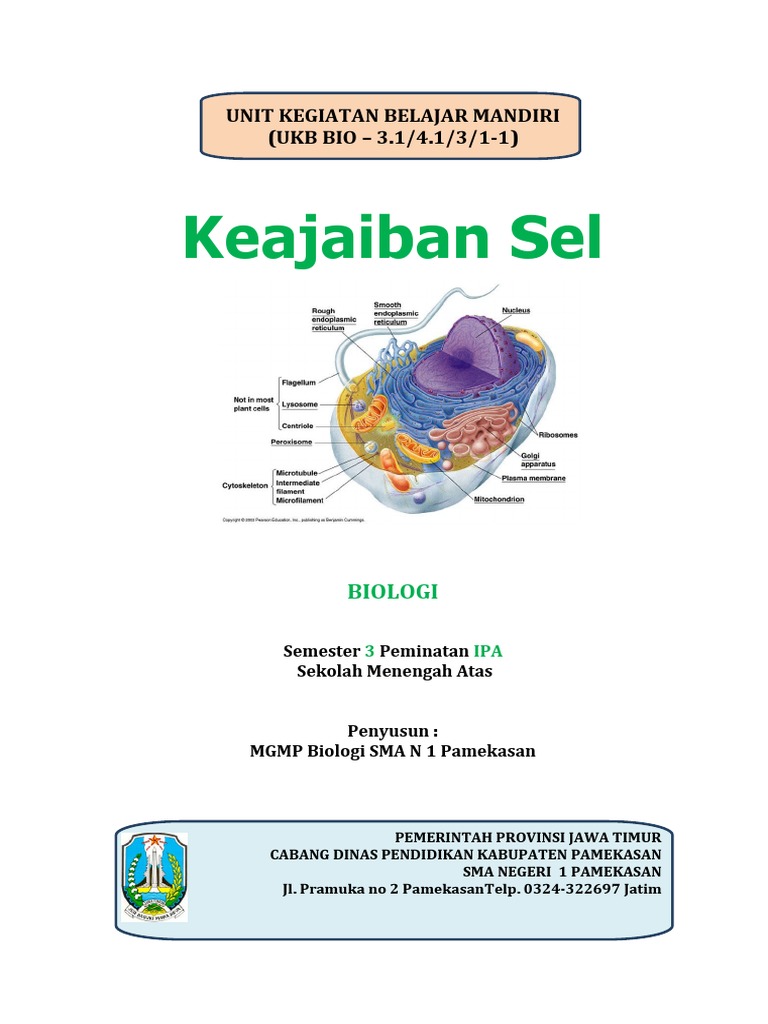 UKBM 3.1 Sel | PDF