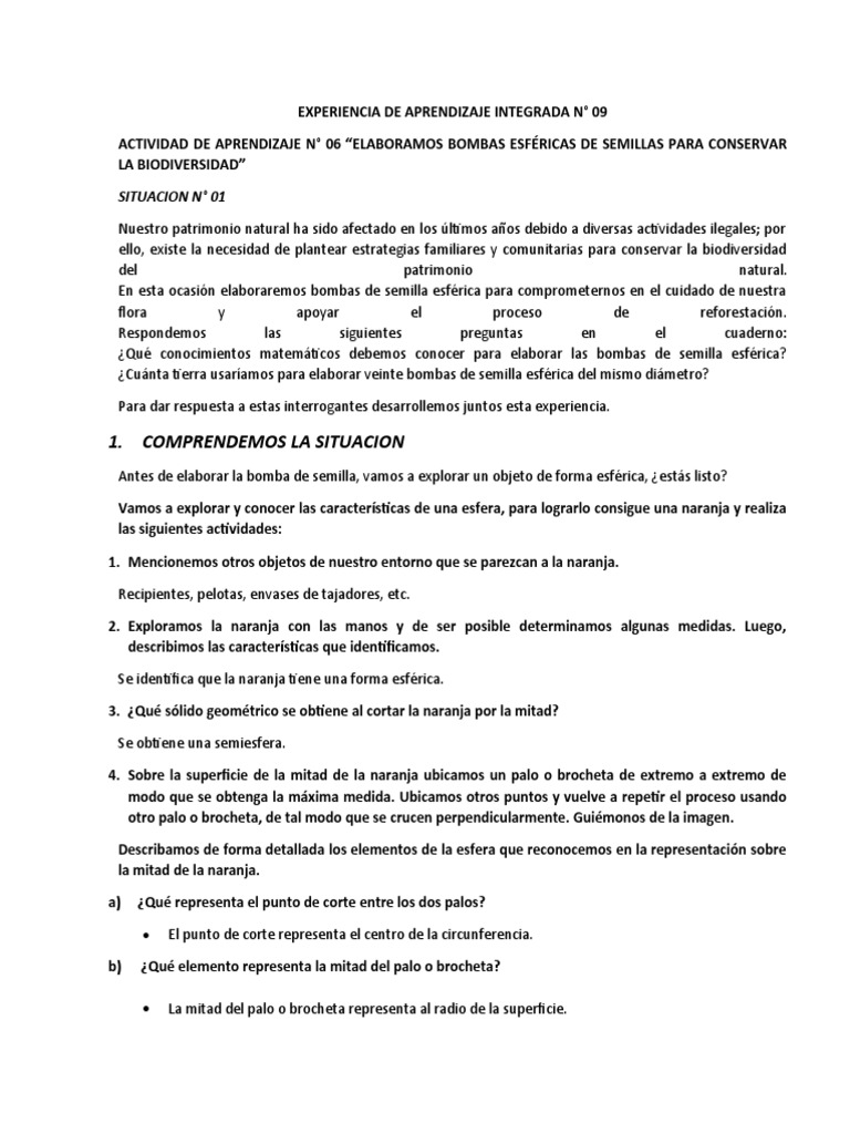 EXP #09 ACT. Elaboramos Bombas Esféricas de Semillas para Conservar La ...