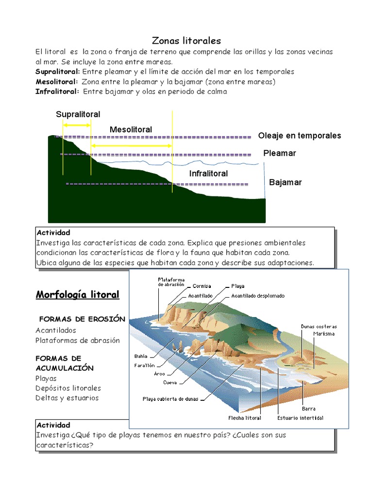Zonas Litorales: Características y Erosión | PDF | Zona litoral | playa