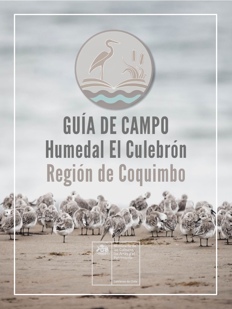 Guia de Campo - Humedal El Culebron | PDF | Aves | Agua
