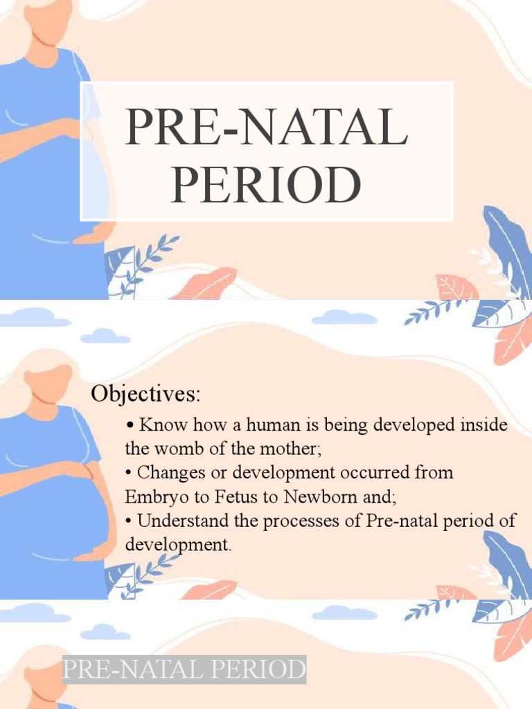 Group 1 Pre Natal Period PDF Prenatal Development Fertilisation