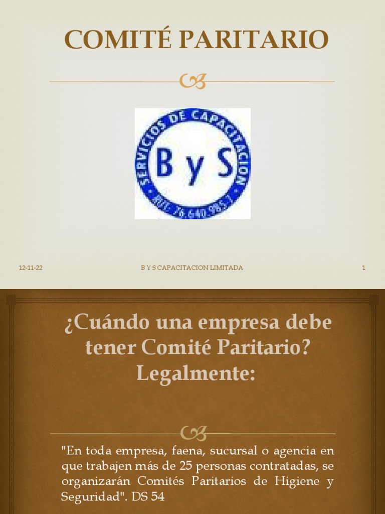 Comité Paritario | PDF | Gobierno