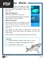 Year 4 Module 8 Amazing Animals Worksheets | PDF | Tiger | Tyrannosaurus