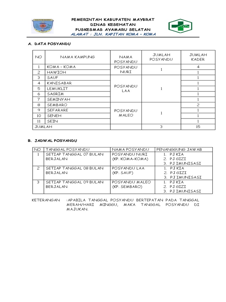 Data Posyandu | PDF