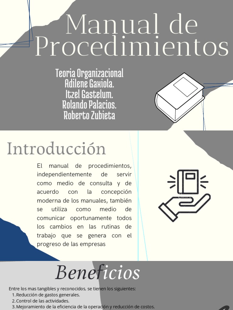 Manual de Procedimientos | PDF | Business | Economias