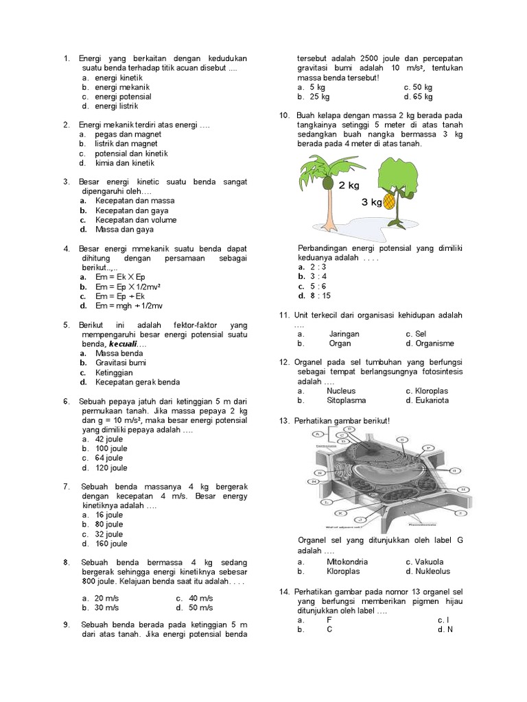 Latihan Soal Ipa Kelas 7 | PDF