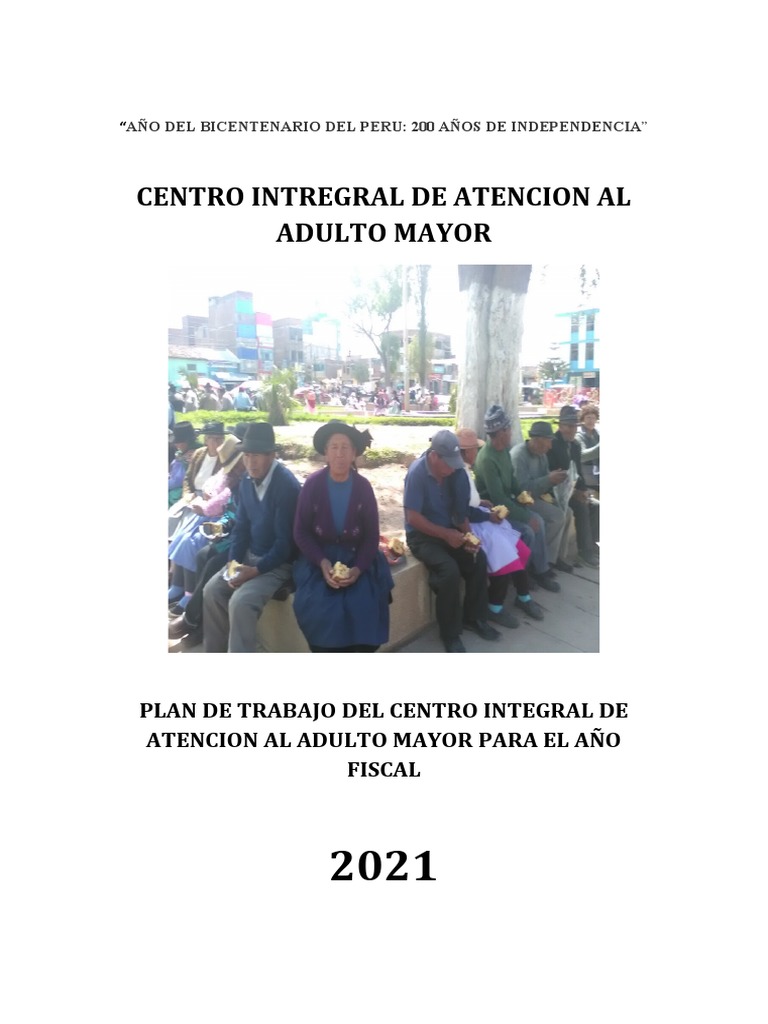 Plan de Trabajo Anual Ciam 2021 | PDF | Vejez | Adultos