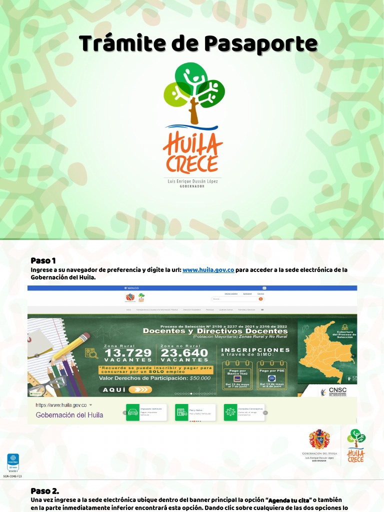 Manual de Usuario - Tramite de Pasaporte - 2 Ok | PDF | Informática | Red mundial