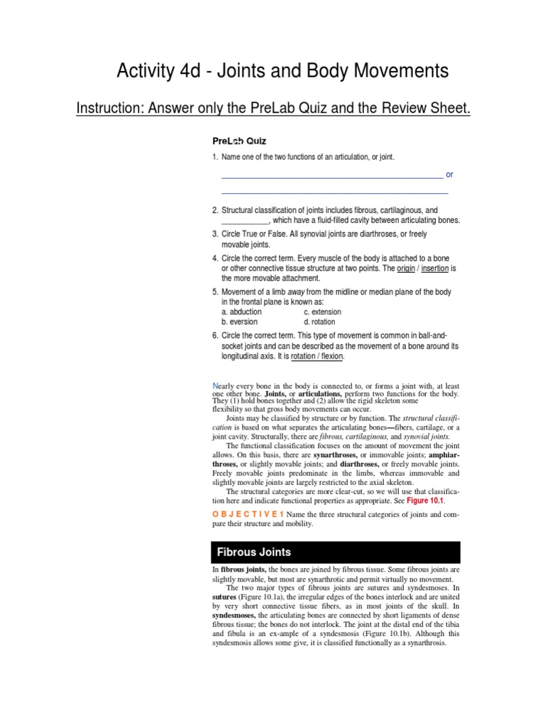 Act. 4d Joints Body Movements FOR STUDENTS | PDF | Anatomical Terms Of ...