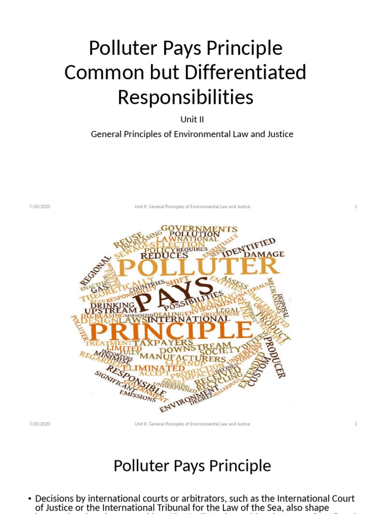 Polluter Pays Principle in Environmental Law | PDF | Environmental Law ...