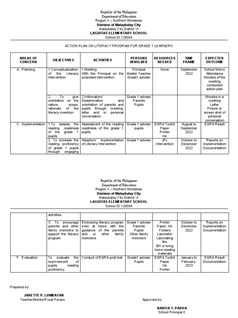 Literacy Action-Plan | PDF | Literacy | Education Theory