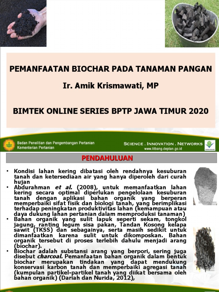 Bios Biochar 2020 | PDF