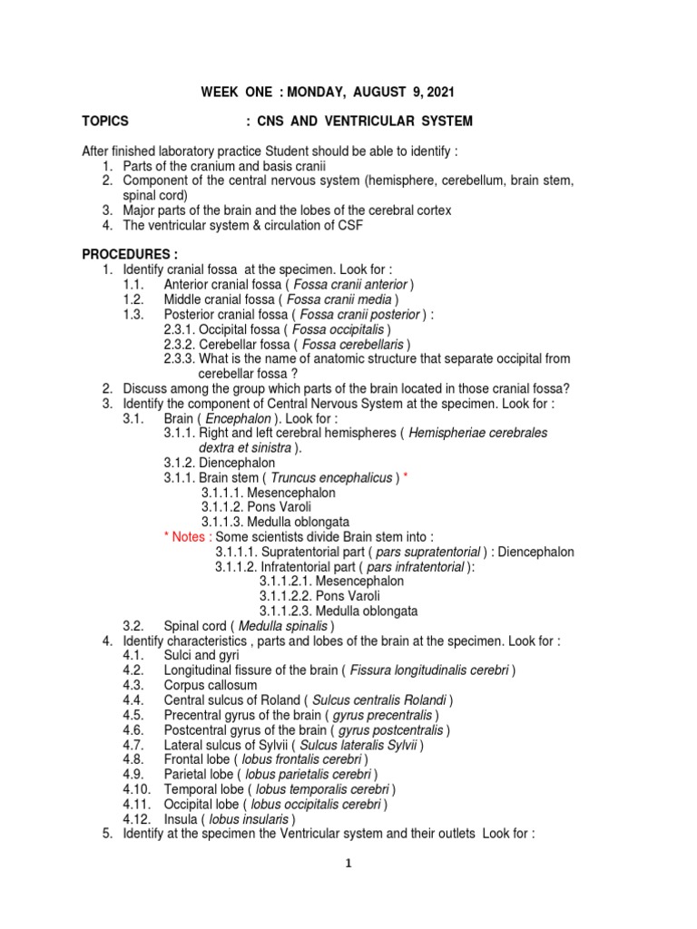 Ant Neuro Download Free Pdf Central Nervous System Organ Anatomy