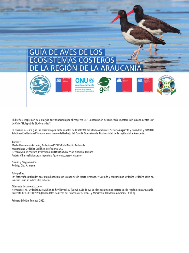 Guia Aves Costera 2022-1 | PDF | Aves | Ornitología