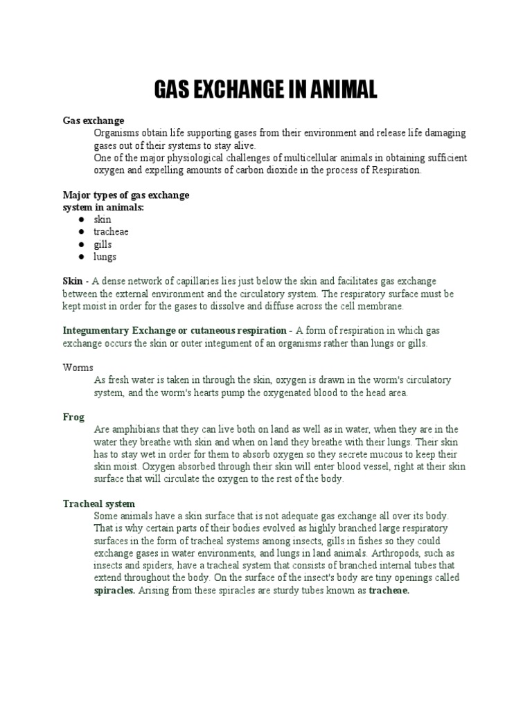 Gas Exchange in Animal | PDF | Respiratory System | Gill