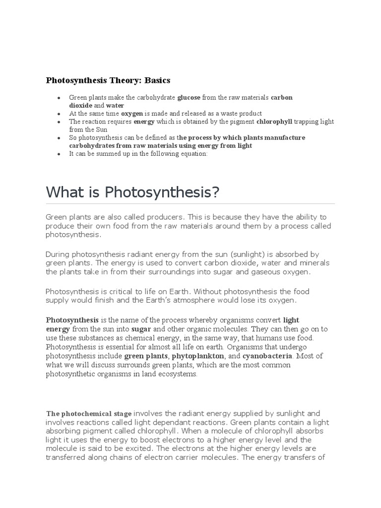Photosynthesis Theory | PDF | Photosynthesis | Chemical Reactions