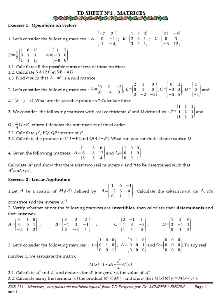 Fiche N°2 - Chapitre 1 | Download Free PDF | Determinant | Matrix (Mathematics)