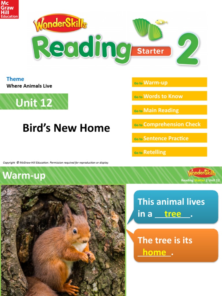 WonderSkills PPT Starter 2 Unit 12 | PDF | Bees | Apoidea