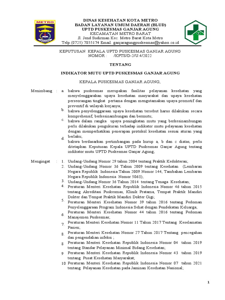 Indikator Mutu Pelayanan Kesehatan | PDF