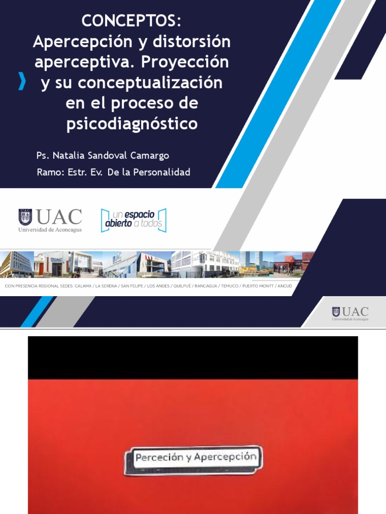 Apercepción y Distorsión Aperceptiva. Proyección y Su Conceptualización ...