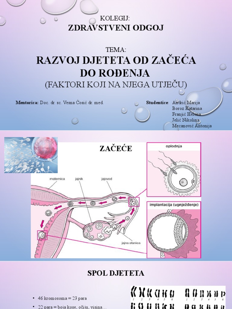 Zdravstveni Odgoj - Razvoj Djeteta Od Začeća Do Rođenja | PDF