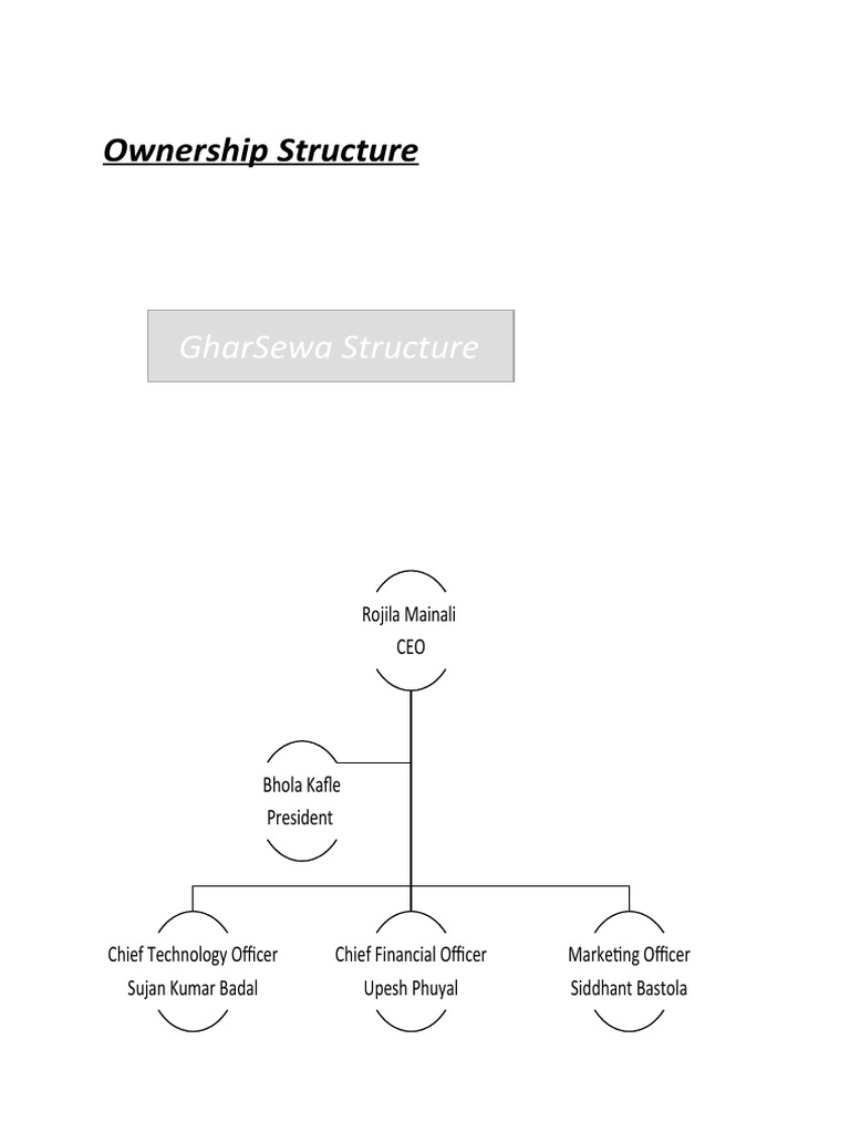 Ownership Structure | PDF