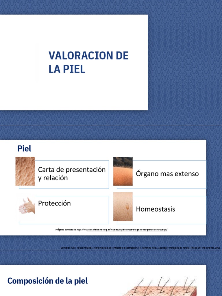 Valoracion de La Piel | PDF | Piel | Clavo (anatomía)