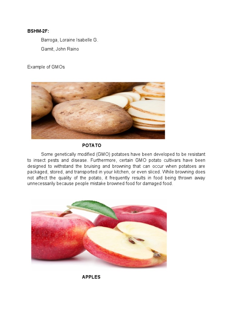 Example of GMOs Act1 | PDF | Genetically Modified Organism | Genetically Modified Food