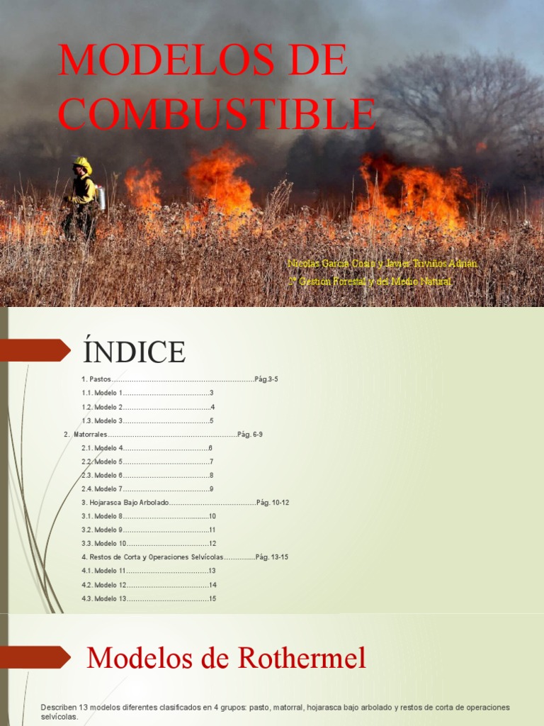 Modelos de Combustible Rothermel | PDF | Botánica | Arboles