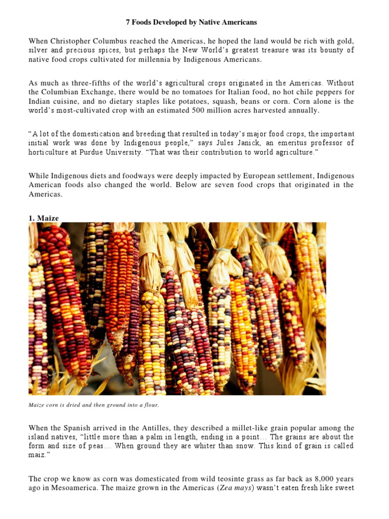 Native American Crops That Changed Cuisine | PDF | Maize | Cucurbita