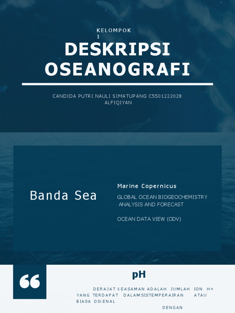 Blue Ocean Themed Wide Presentation | PDF | Environmental Social ...