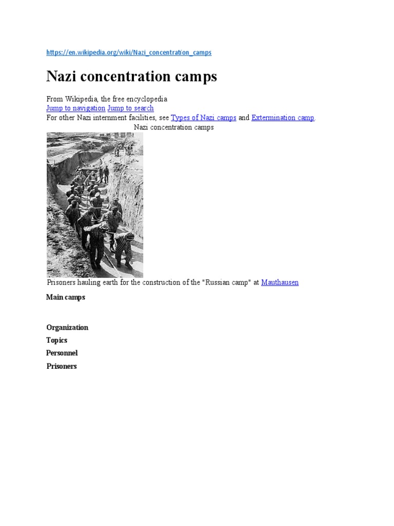 Groups Targeted by Nazi Camps | PDF | Nazi Concentration Camps ...