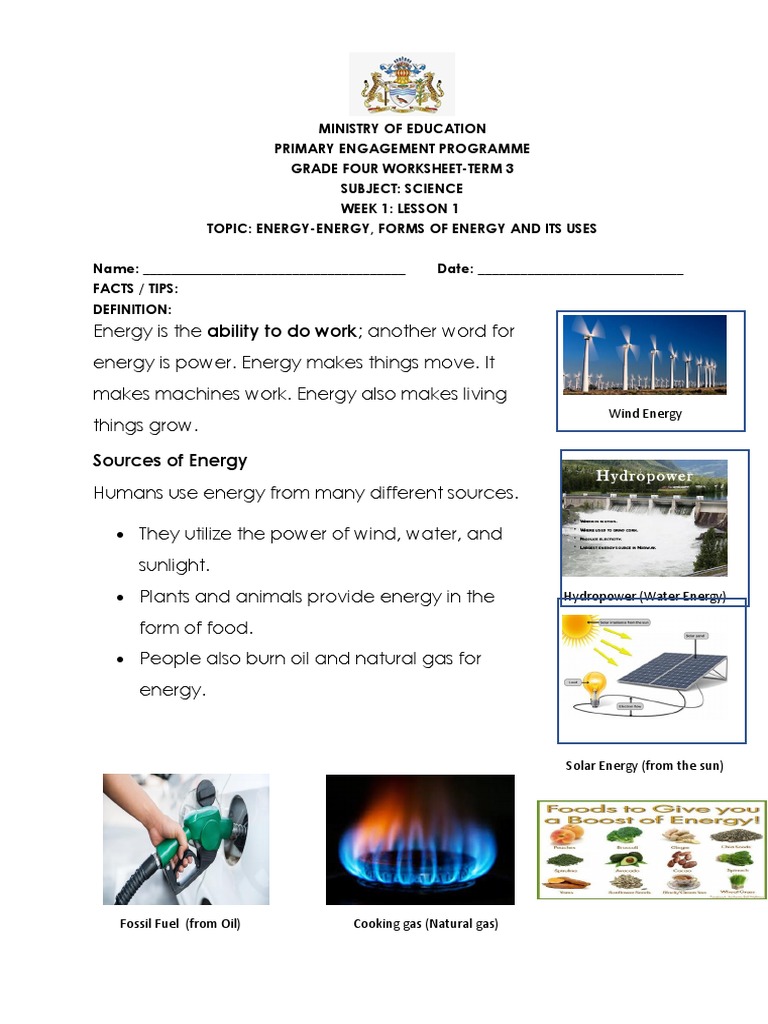 Grade 4 Science Weeks 1-6 Worksheets - Term 3 | PDF | Heat | Insulator ...