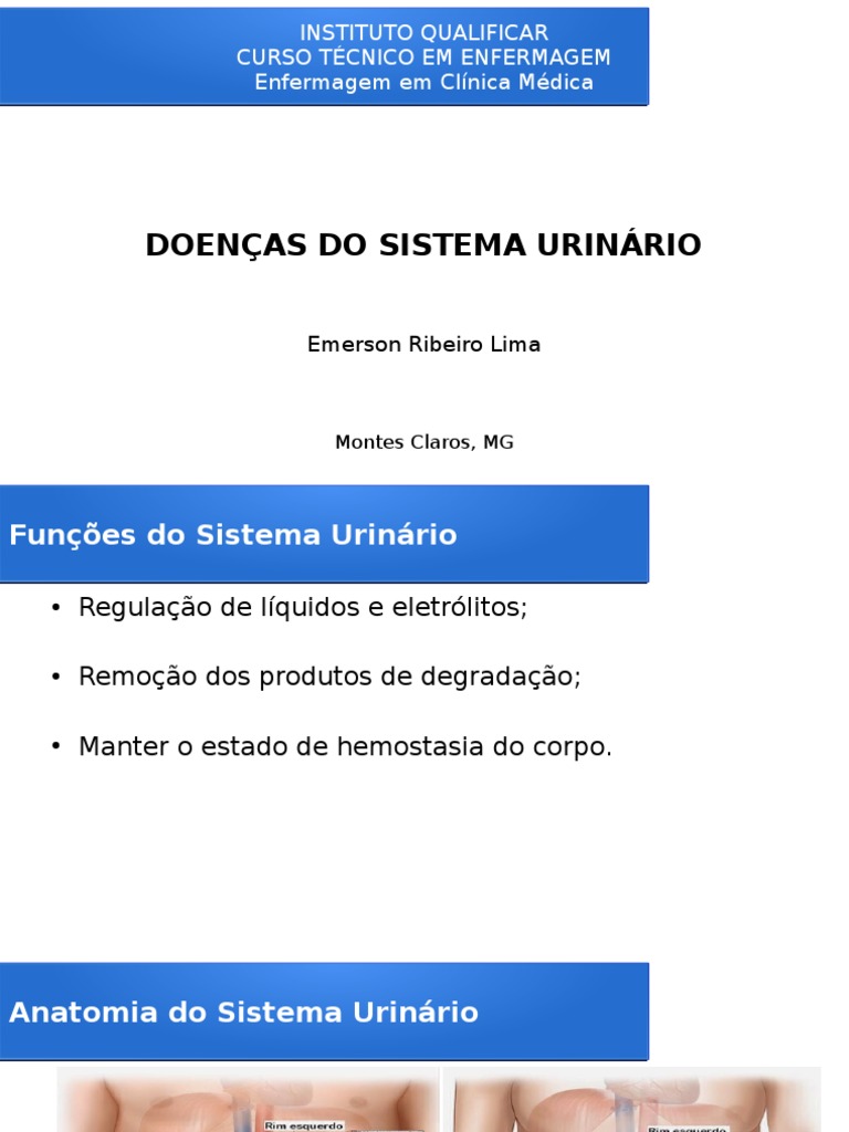 Doenças Renais | PDF | Rim | Doença renal crônica