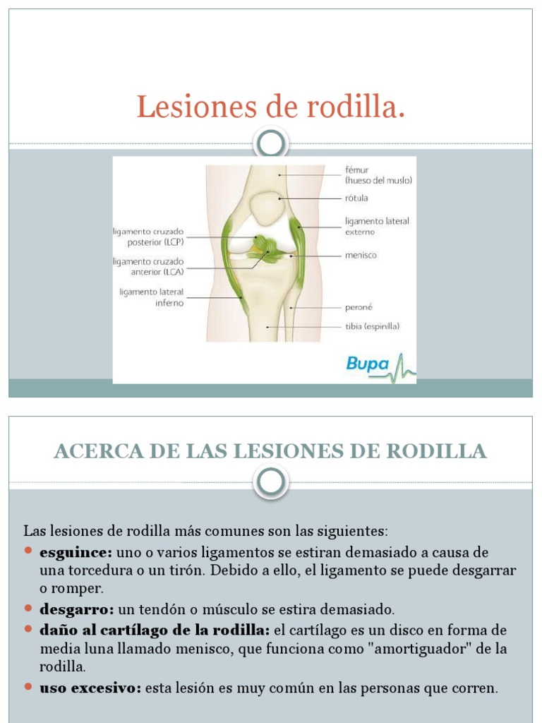 Lesiones de Rodilla | PDF | Rodilla | Sistema musculoesquelético