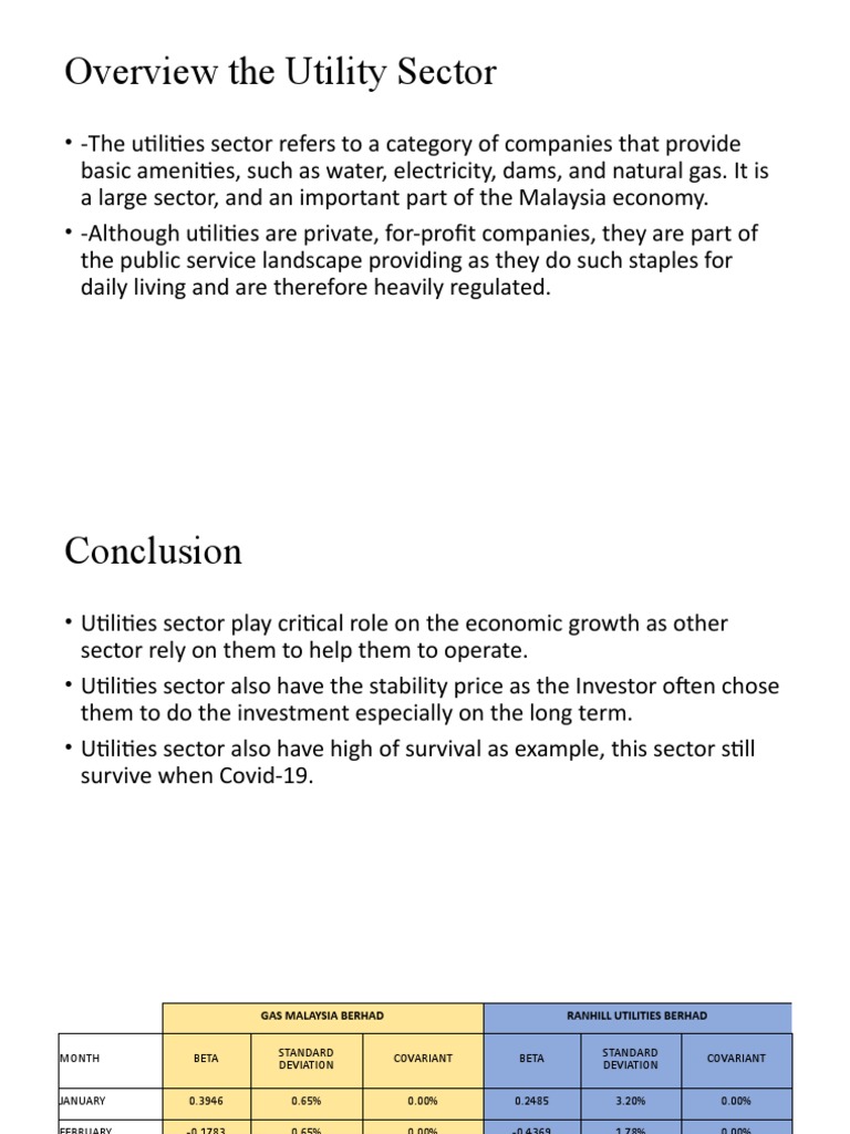 Overview The Utility Sector | PDF | Public Utility | Economies