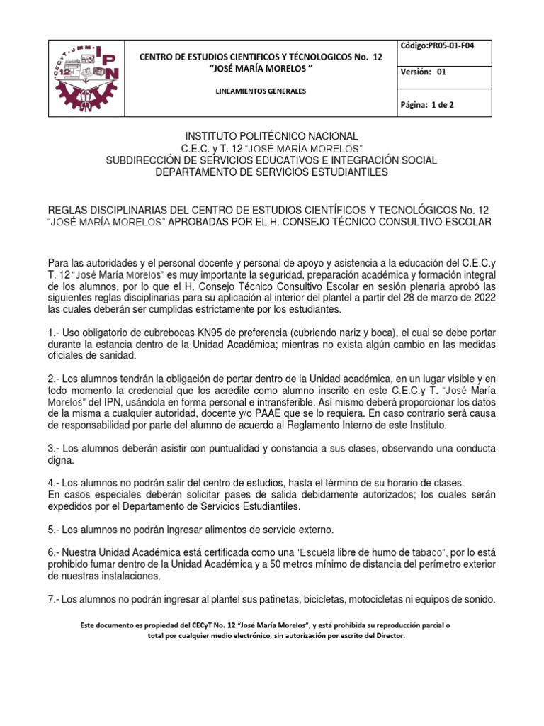 PR05 01 F04 Lineamientos Generales | PDF