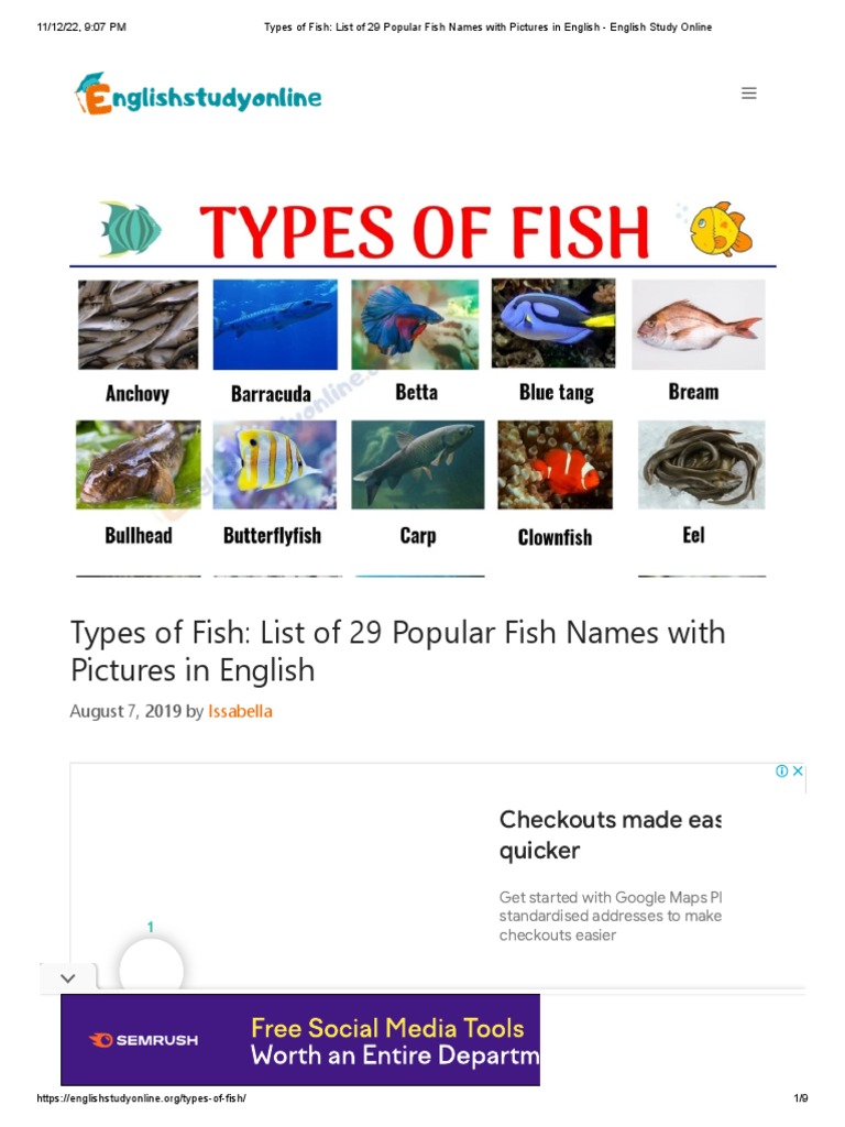 Types of Fish - List of 29 Popular Fish Names With Pictures in English ...