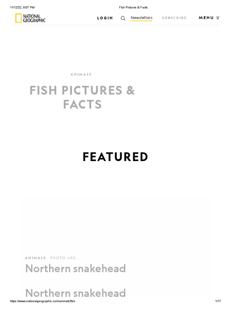 Fish Pictures & Facts | Download Free PDF | Fish | Sharks