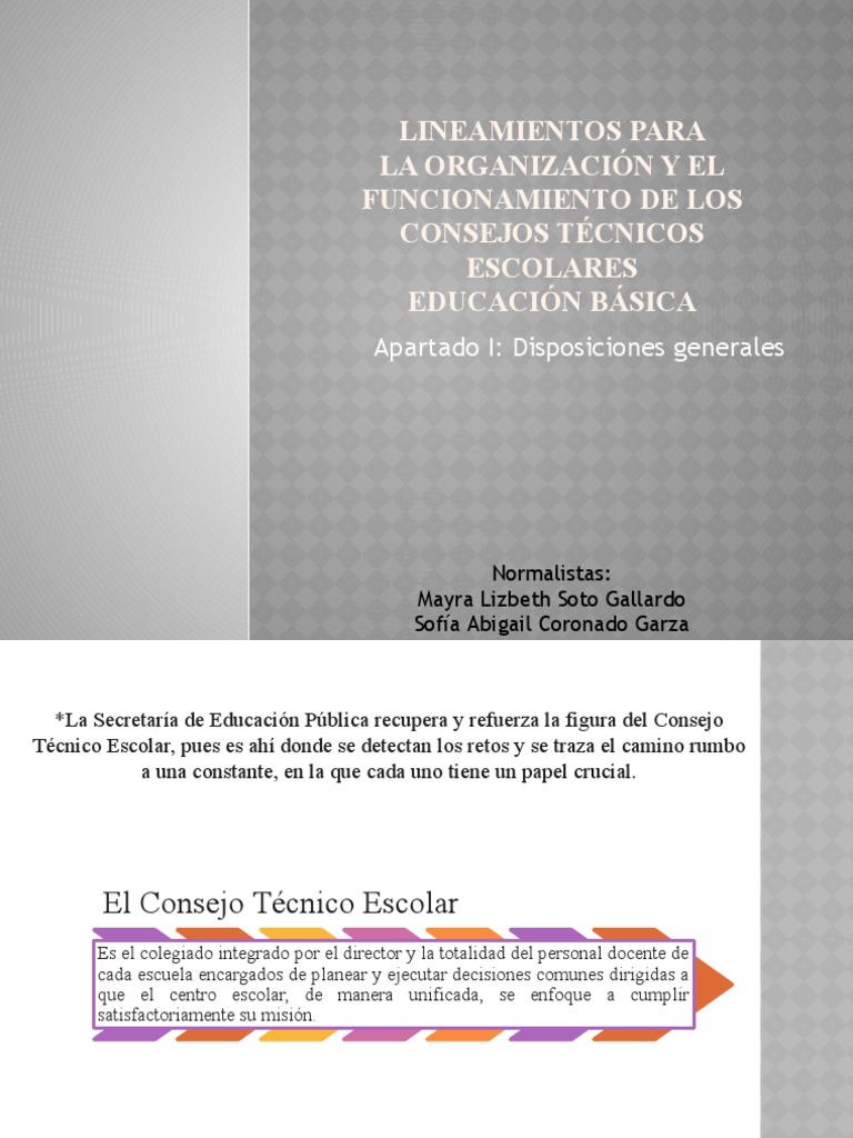 Lineamientos Actual | PDF | Educación primaria | Maestros