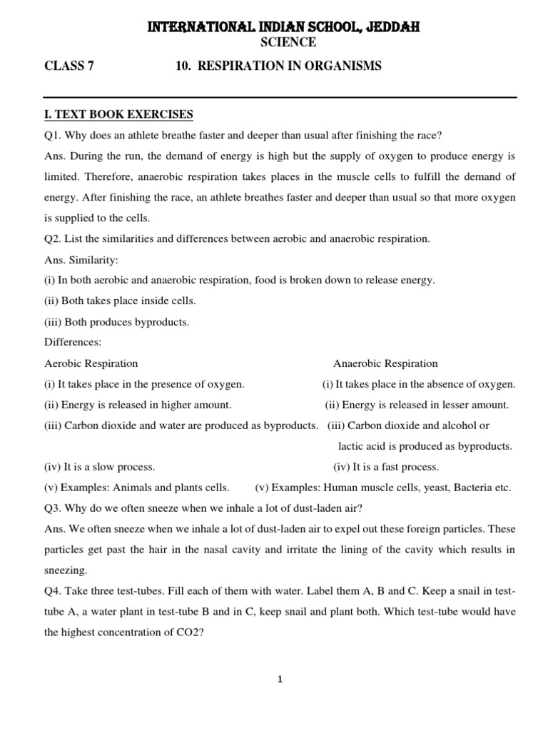 NOTES CLASS7 L10 Respiration in Organisms-1 | PDF | Breathing ...