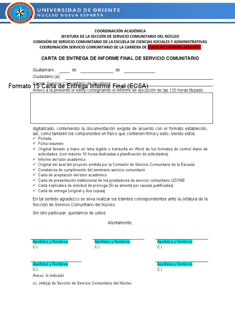 Formato 15 Carta de Entrega Informe Final | PDF