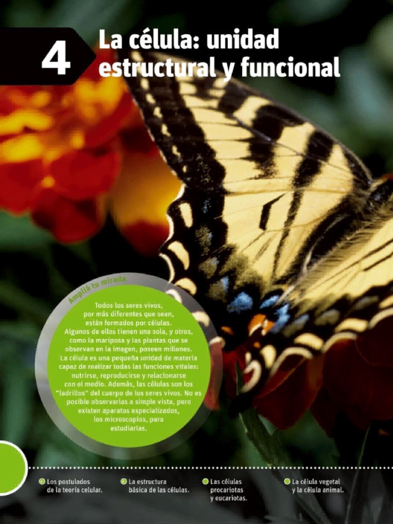 BIO2 SAVIA Cap4 SM | PDF | Biología Celular) | Citoplasma