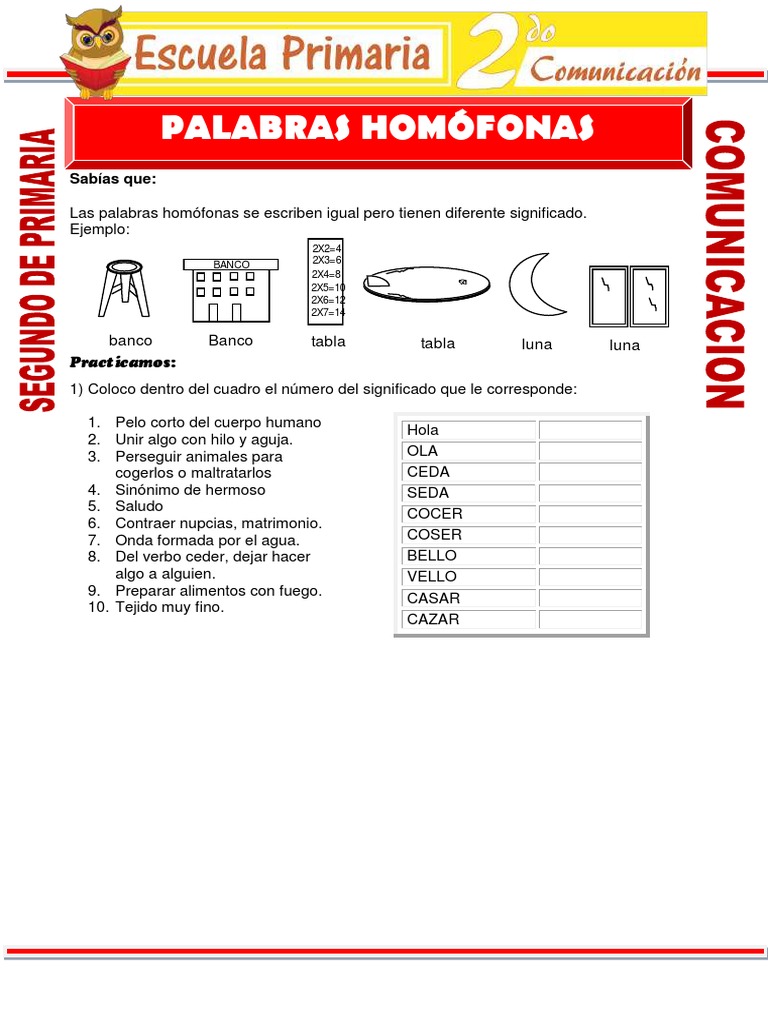 Palabras Homófonas para Segundo de Primaria | PDF